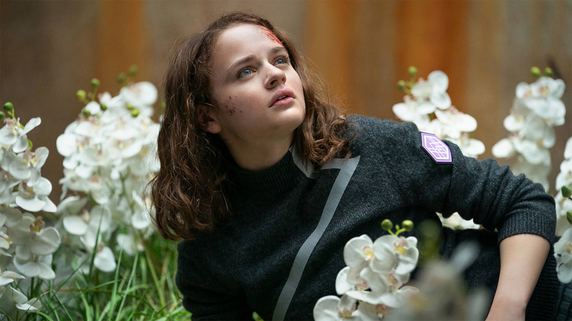 Lo mejor de Netflix en septiembre: 5 películas que tienes que ver