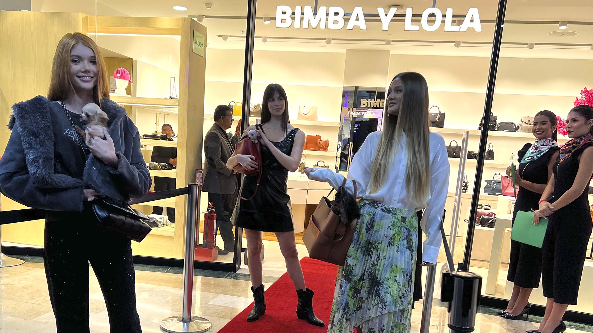 Bimba y Lola reabre sus puertas en Venezuela
