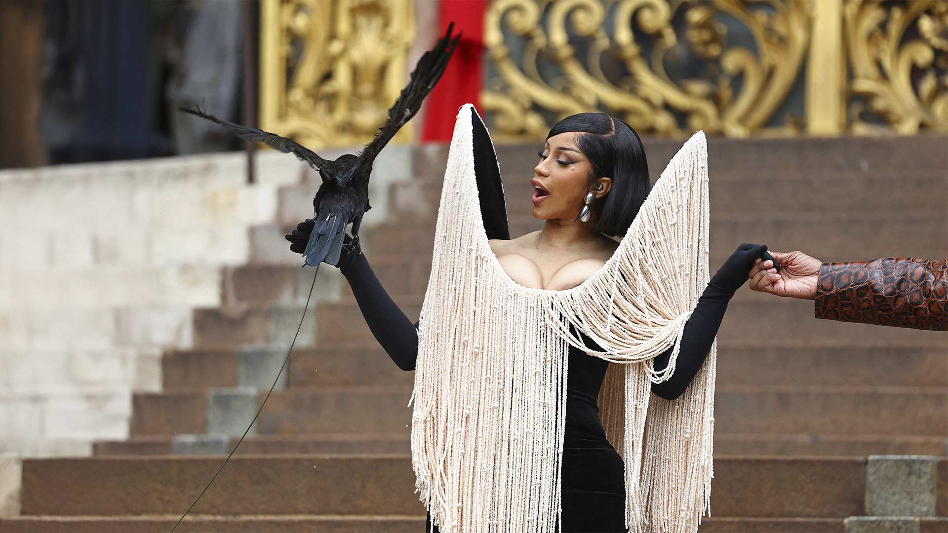 Cardi B llega con un cuervo al desfile de Schiaparelli otoño 2025